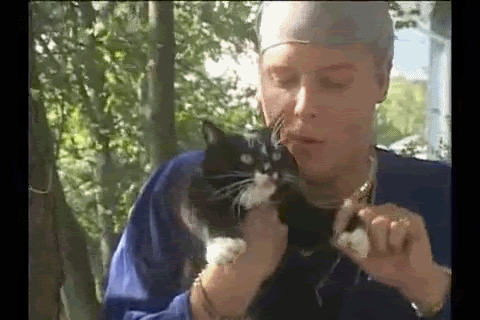 Jay Rock - All my life (Wayne is always better featured) : r/hiphopheads