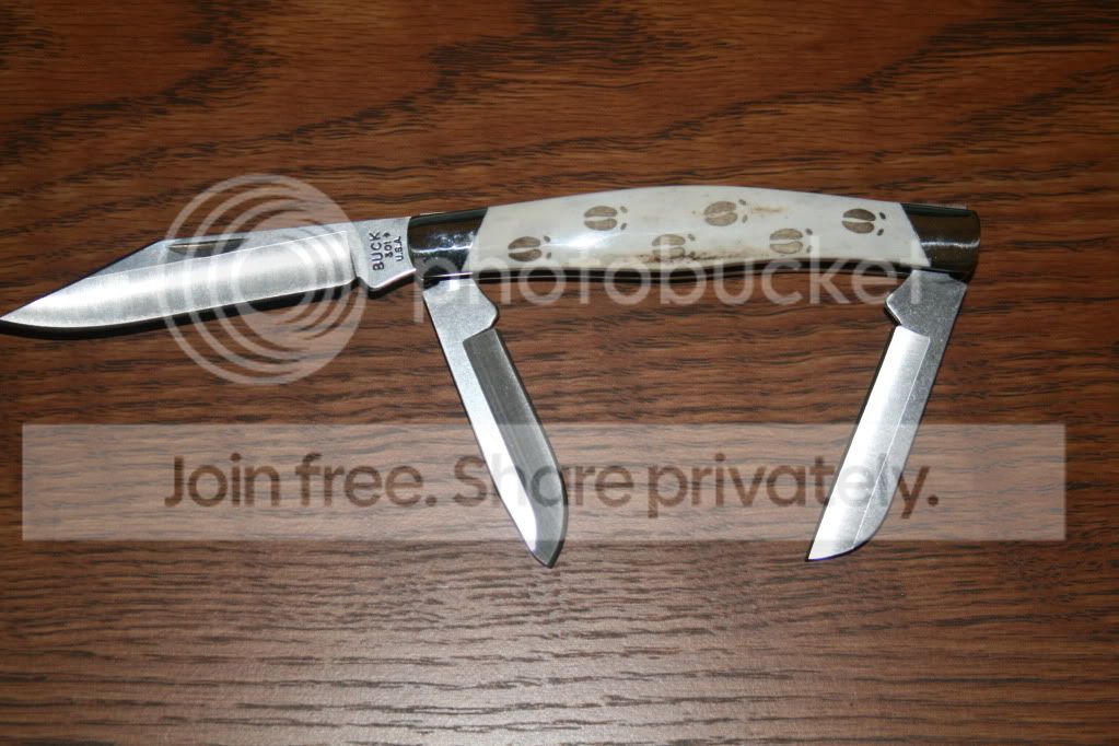 buck 301 elk | BladeForums.com