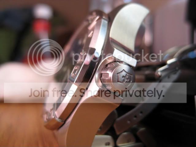 Dive Master Arrived | WatchUSeek Watch Forums