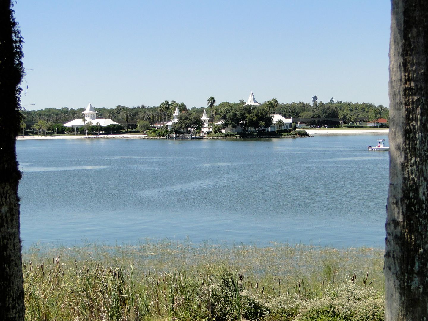 Sunset Pointe - Polynesian Resort - Disney Travel Babble