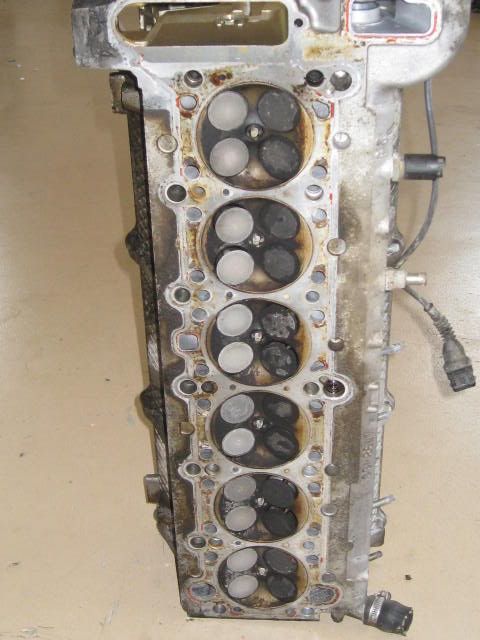 FS: S52 head with cams, M50 manifold, M52 cam trays